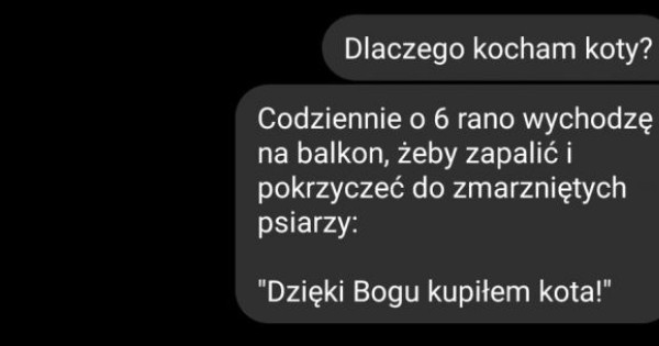 Jak dobrze mieć kitku - Jeja.pl