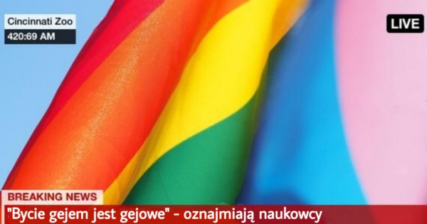 Odkrycie roku - Jeja.pl