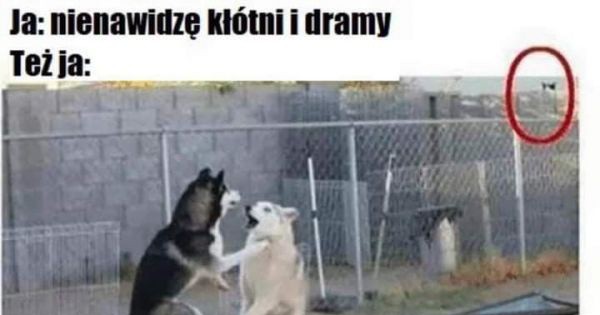 No dobra, czasem lubię - Jeja.pl