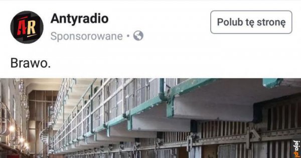 Sowa 480+ Najlepszych Memów Jeja.pl