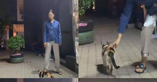 Fuj, człowiek - Jeja.pl