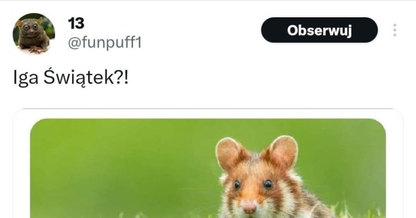 No to kto? - Jeja.pl