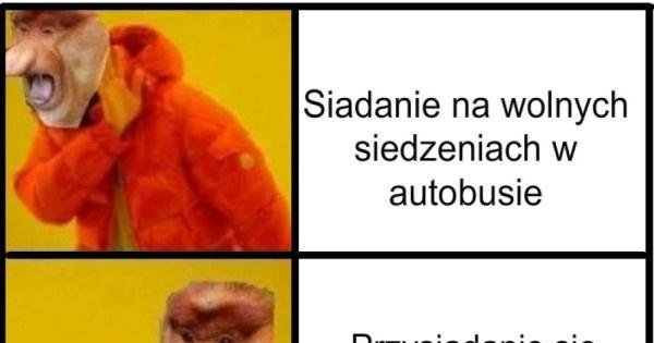 Panie, idź pan stąd - Jeja.pl