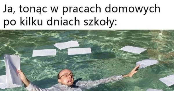 Bul bul bul... - Jeja.pl