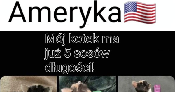 Ameryka - Jeja.pl