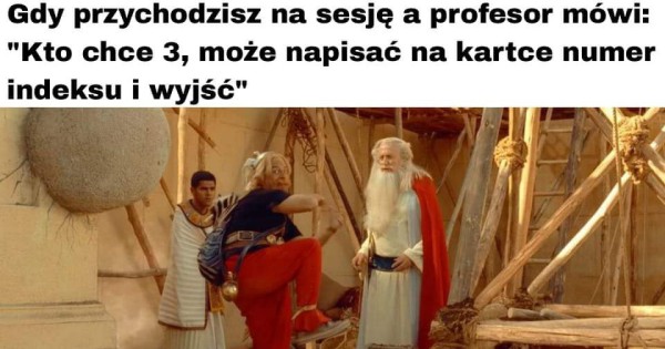 Wasza wysokość jest zbyt łaskawa - Jeja.pl