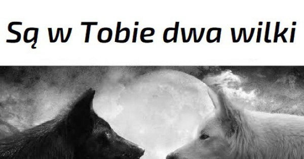 Ty nieczuły mięsożerco! - Jeja.pl