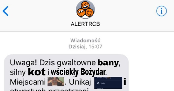 Alert JEJA - Jeja.pl