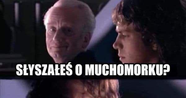 Niewielu o tym wie - Jeja.pl