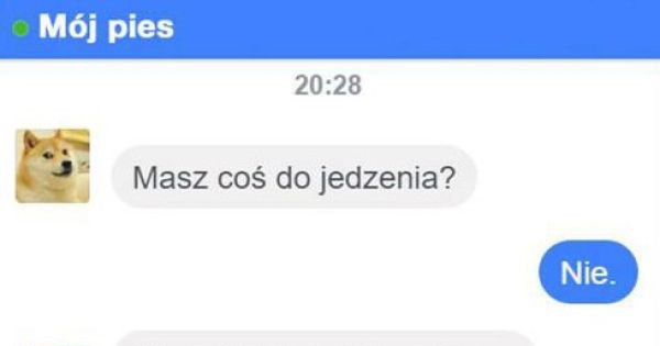 Z piesełami tak to jest - Jeja.pl