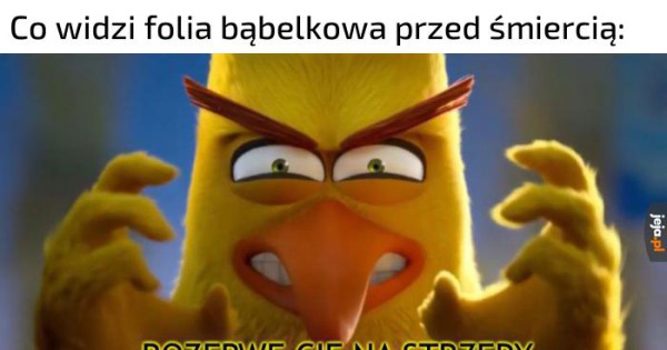 Biedna... - Jeja.pl