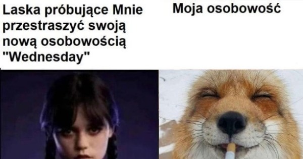 Wednesday - Memy Jeja.pl