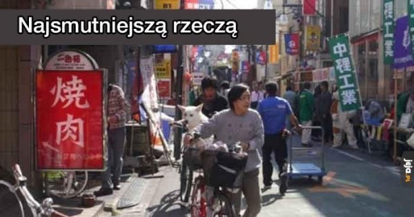 Czasem tak bywa - Jeja.pl