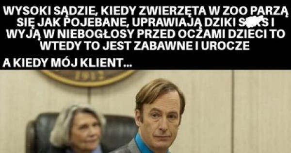 Prawnik 93+ Najlepszych Memów Jeja.pl