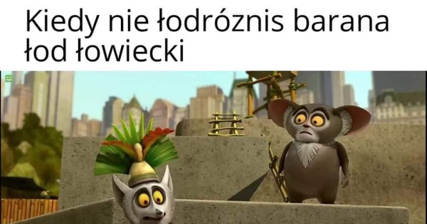 Pomyłeczka - Jeja.pl