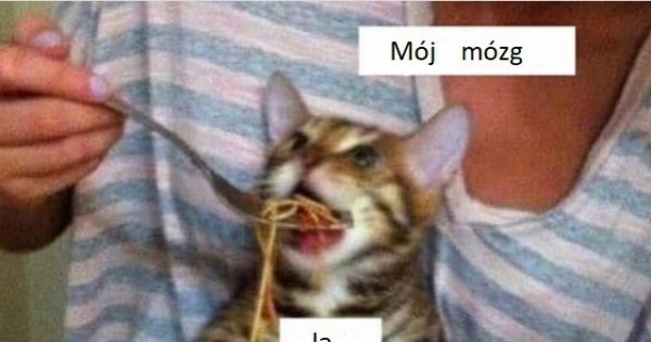 Smutno mi przez to czasem - Jeja.pl