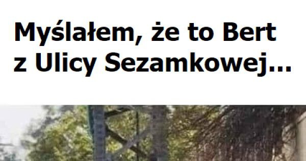 Gdzie masz Erniego? - Jeja.pl