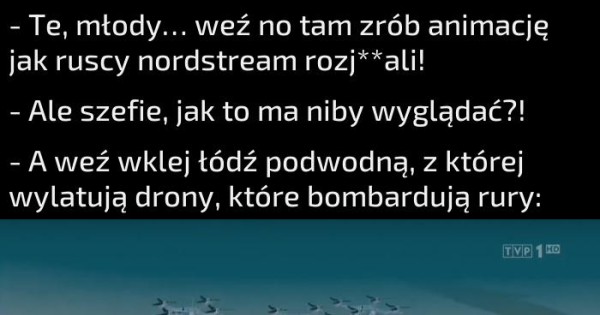Tymczasem w studiu „Wiadomości” - Jeja.pl