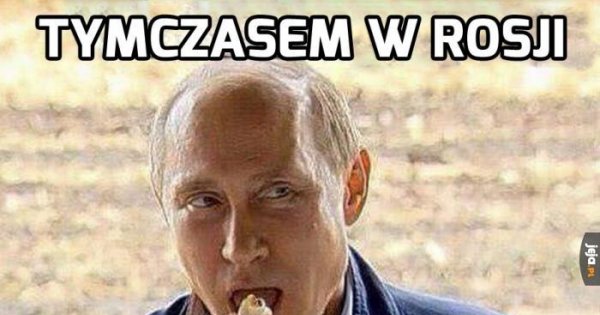 Cyrk otwarty, małpy wypuszczone - Jeja.pl